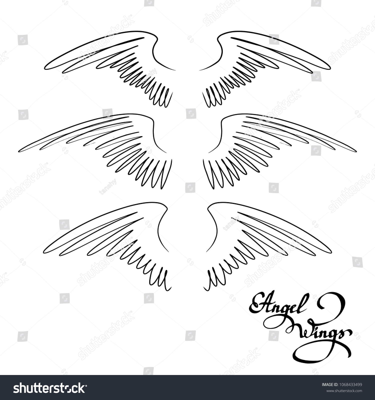 Wings Vector Illustration Lettering: vector de stock (libre de regalías ...