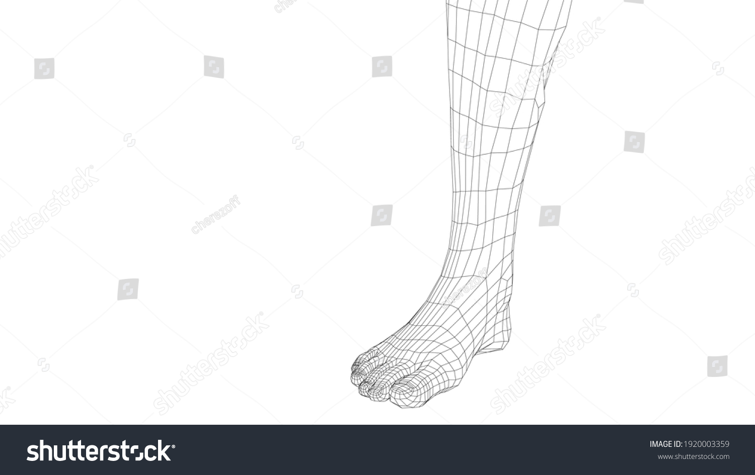 Wireframe Leg Closeup View Anatomy Concept Stock Vector (Royalty Free ...