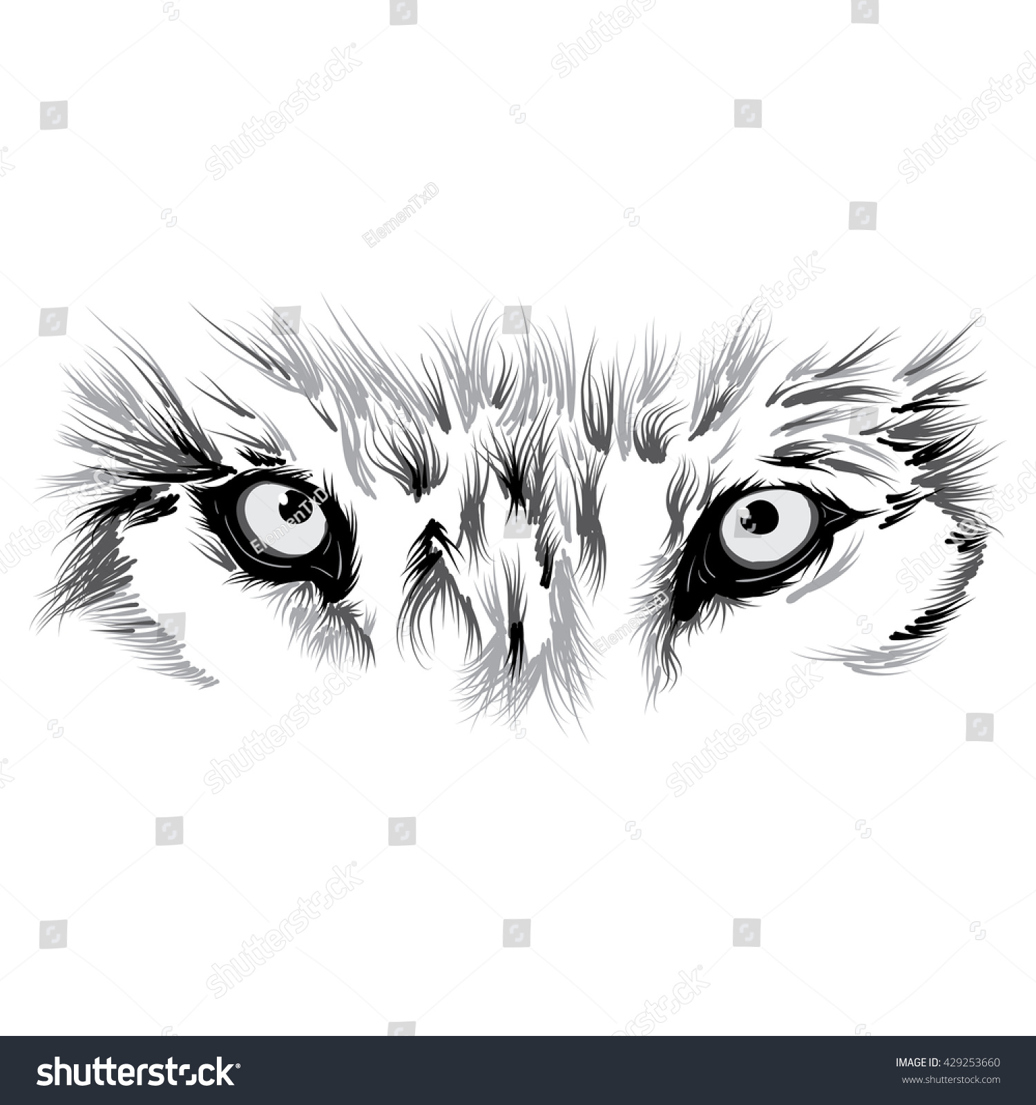 Wolf Eyes Stock Vector 429253660 : Shutterstock