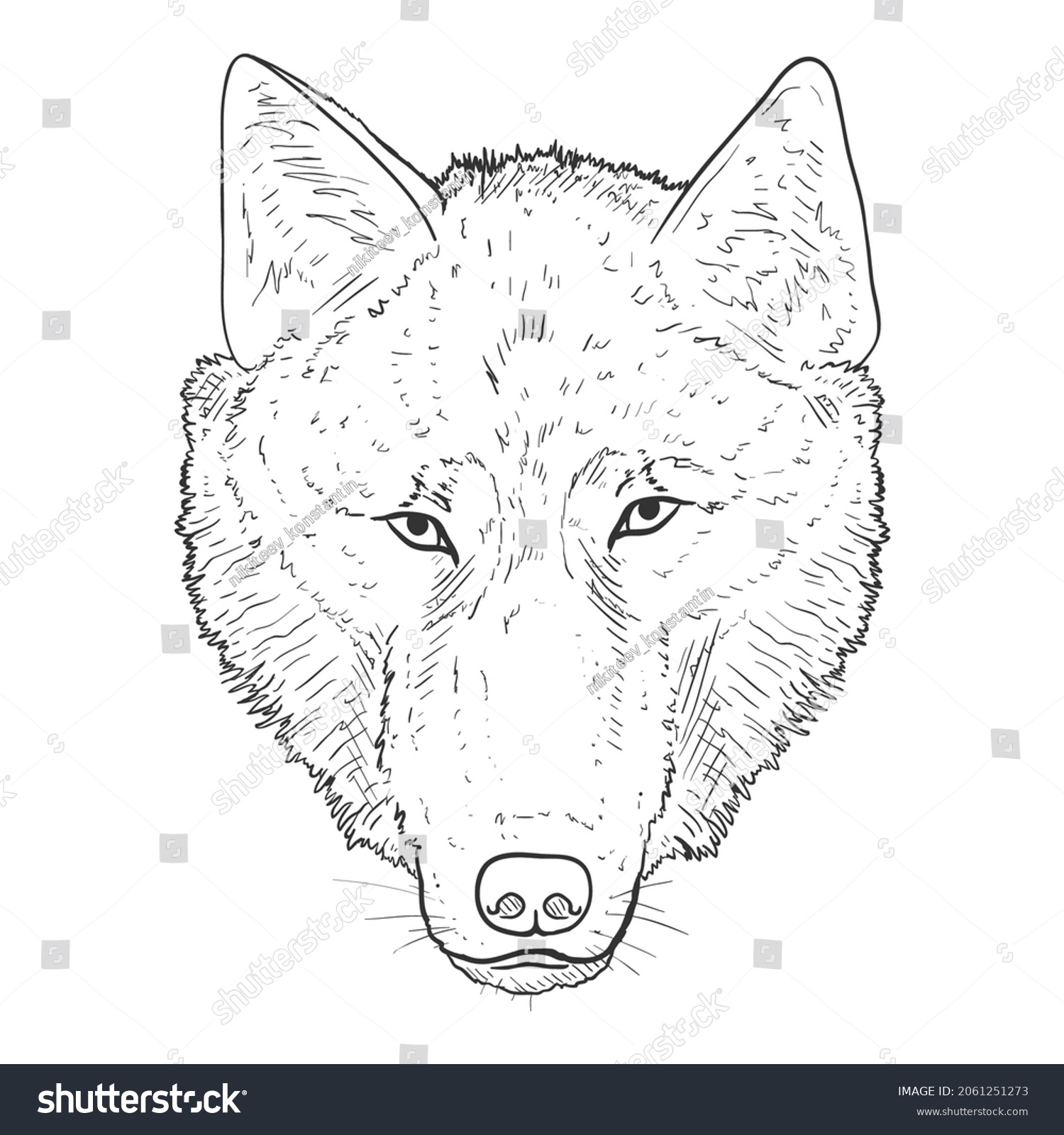 Wolf Head Front View Vector Sketch Stock Vector (Royalty Free) 2061251273