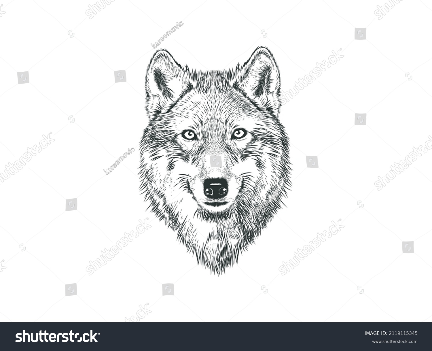 62,595 How draw wolf Images, Stock Photos & Vectors | Shutterstock