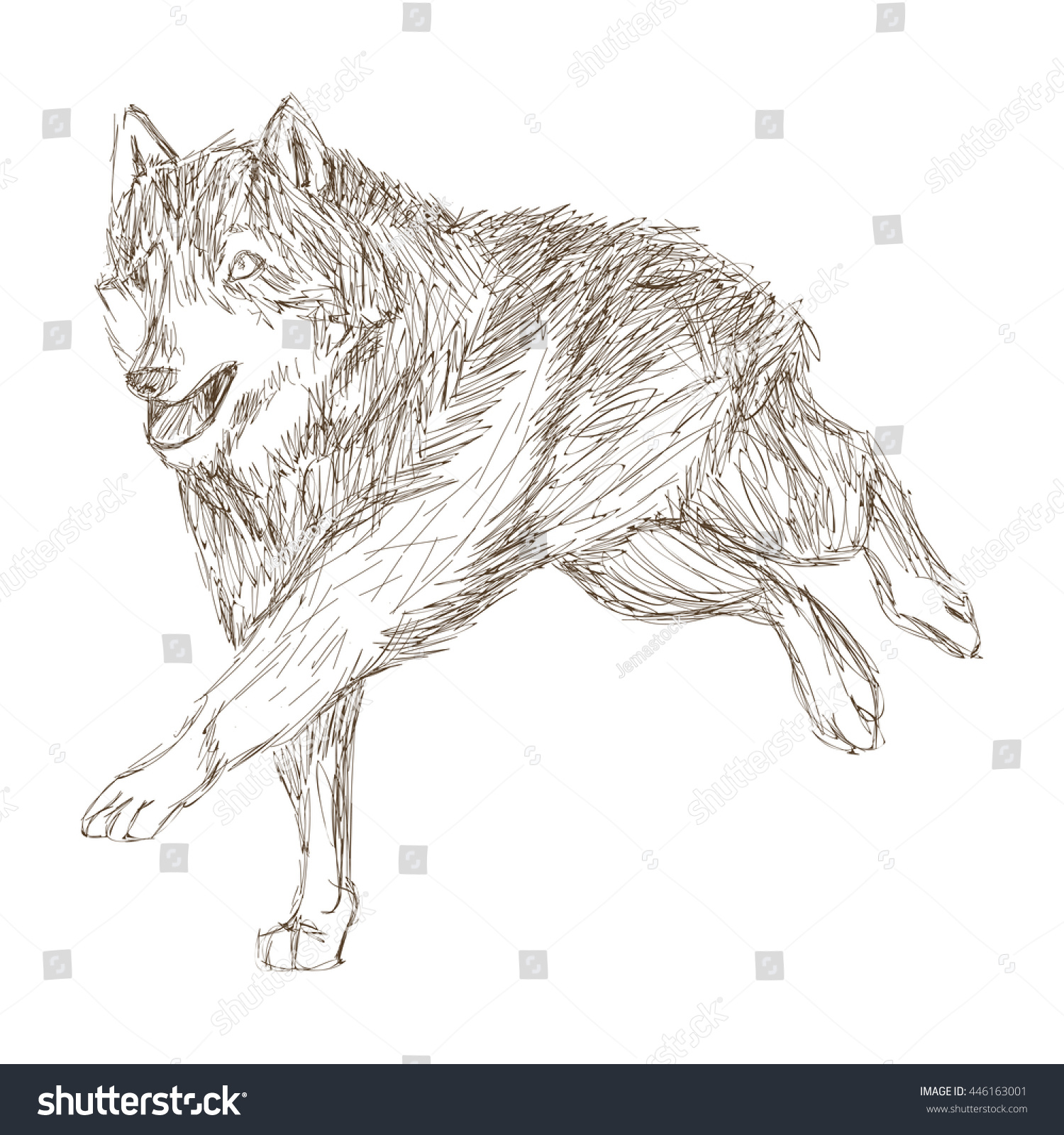 Wolf Running Sketch