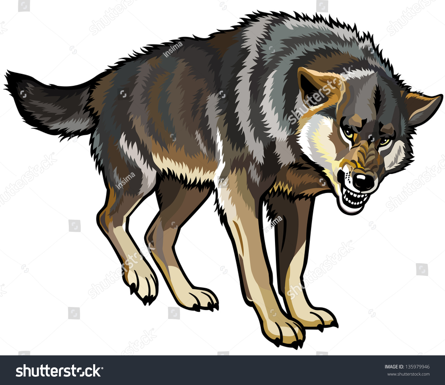 Wolf Vector,Aggressive Pose,Picture Isolated On White Background ...