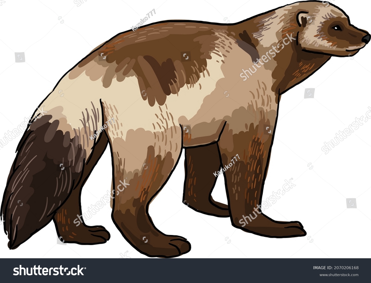 847 Cute wolverine Images, Stock Photos & Vectors | Shutterstock