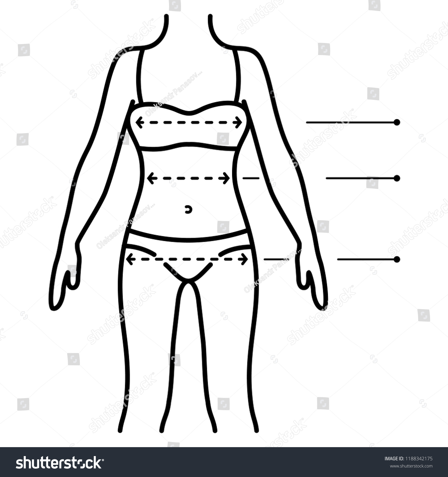 Womens Clothing Size Chart Vector Flat Stock Vector Royalty Free 1188342175