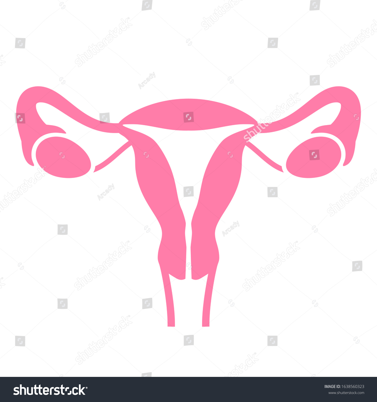 Women Uterus Ovary Icon Isolated On Stock Vector Royalty Free 1638560323