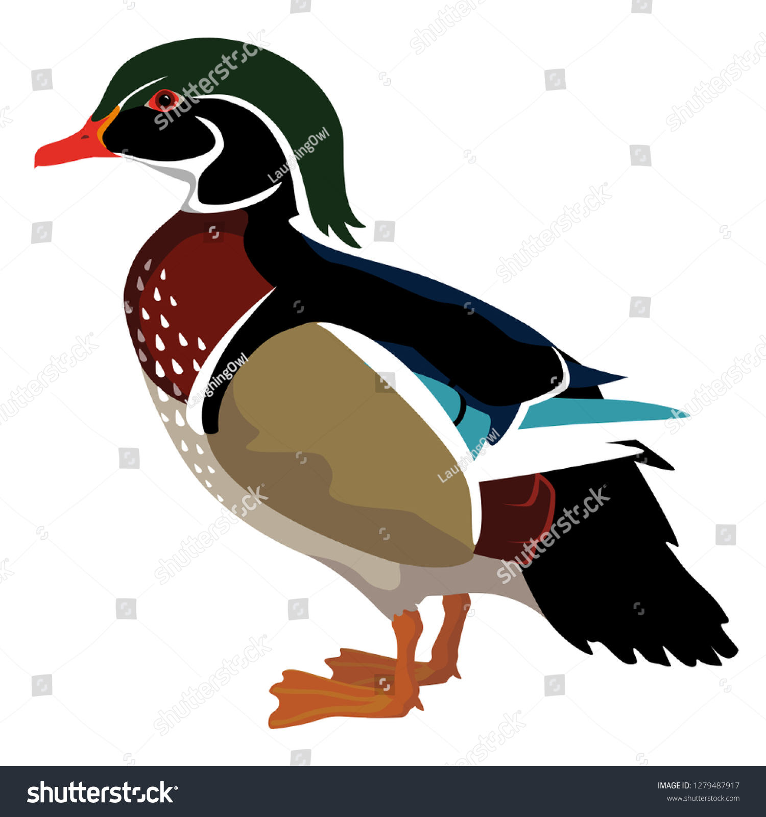 Wood Duck Color Vector Isolated Stock Vector (Royalty Free) 1279487917 ...