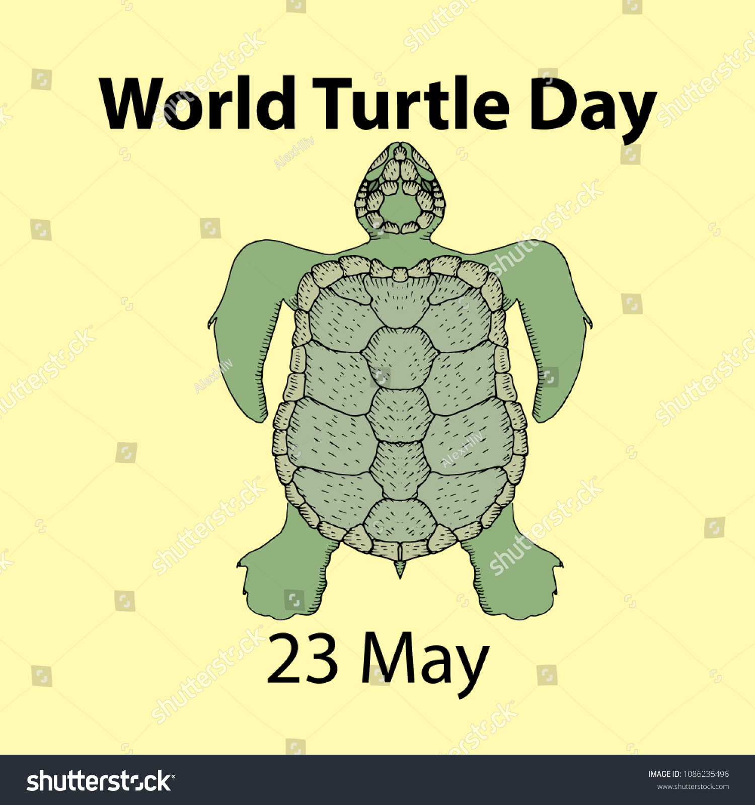 World Turtle Day May 23 Drawn Stock Vector (Royalty Free) 1086235496 ...