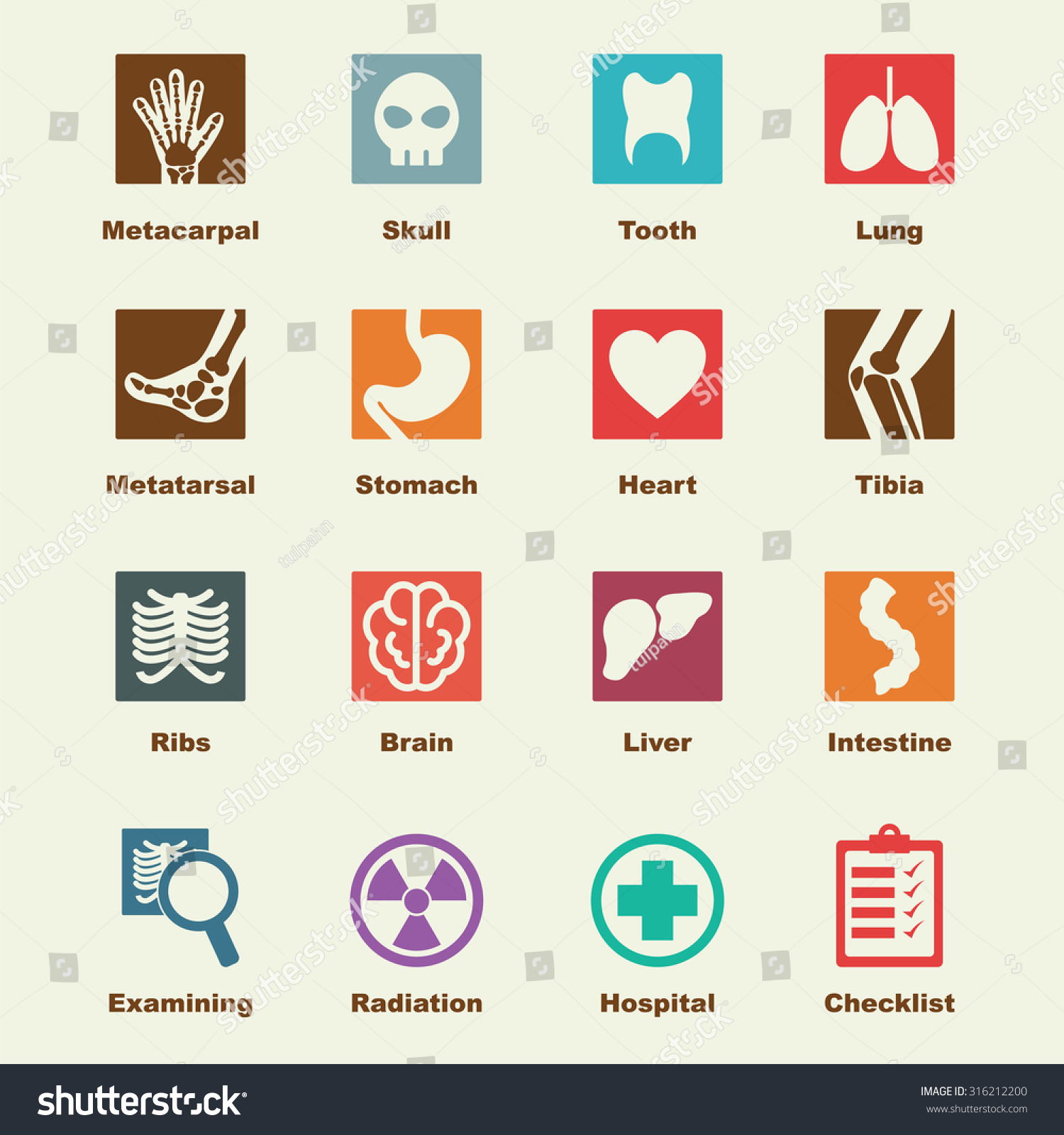 Xray Elements Vector Infographic Icons Stock Vector (Royalty Free ...