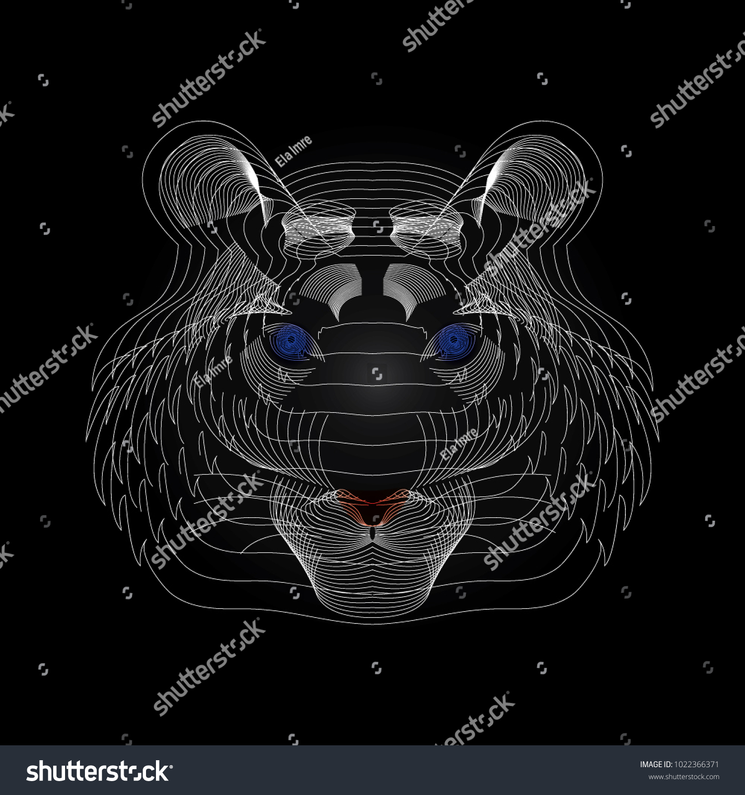 Xray Tiger Face Stock Vector (Royalty Free) 1022366371