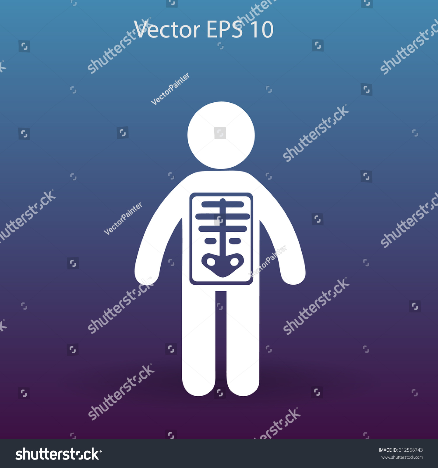 Xray Vector Illustration Stock Vector (Royalty Free) 312558743 ...