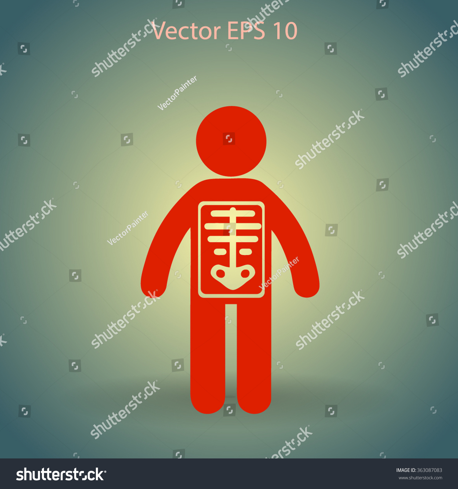 Xray Vector Illustration Stock Vector (Royalty Free) 363087083 ...