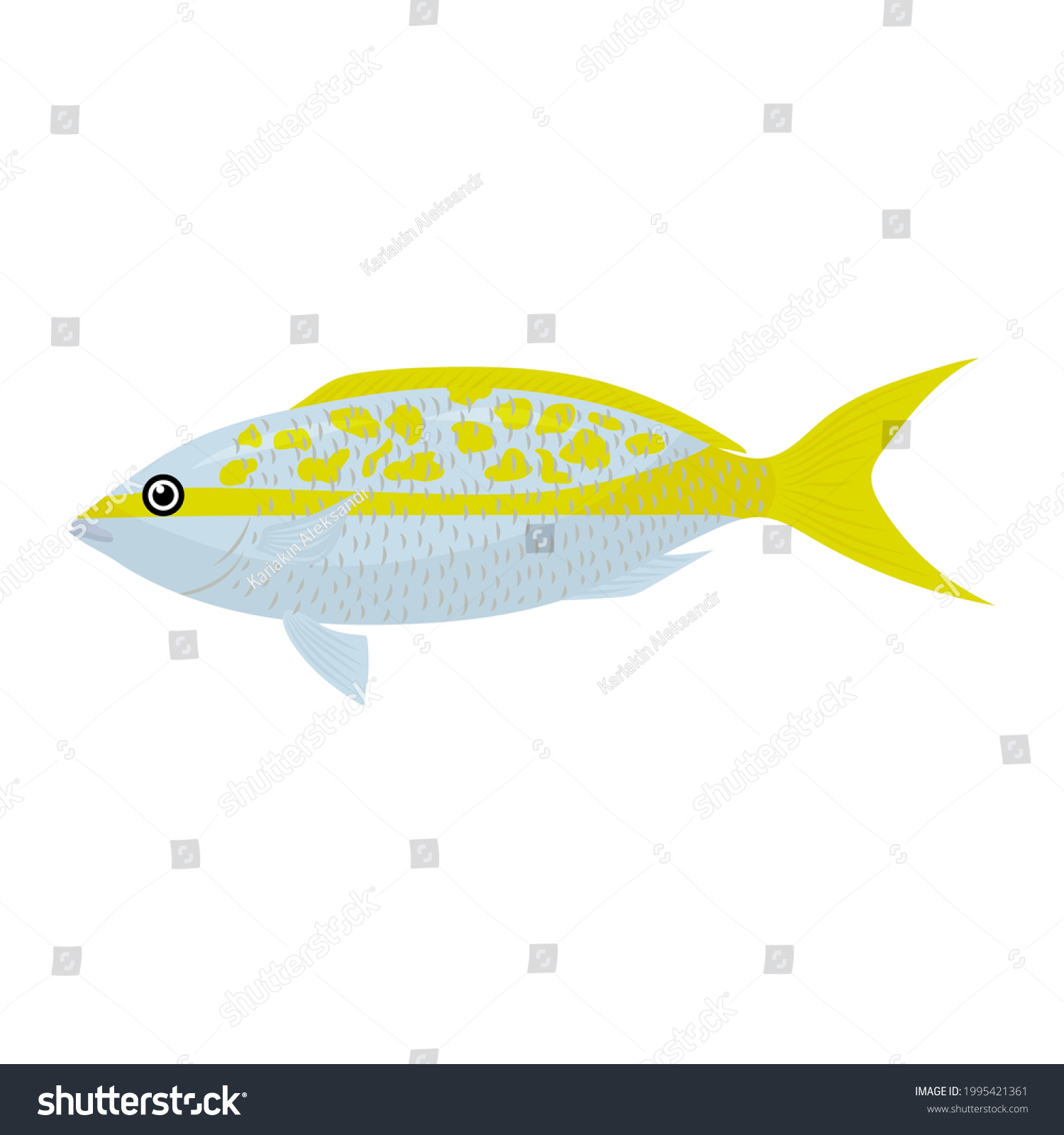 Yellowtail Snapper Drawing Vector Illustration Stock Vector (Royalty ...