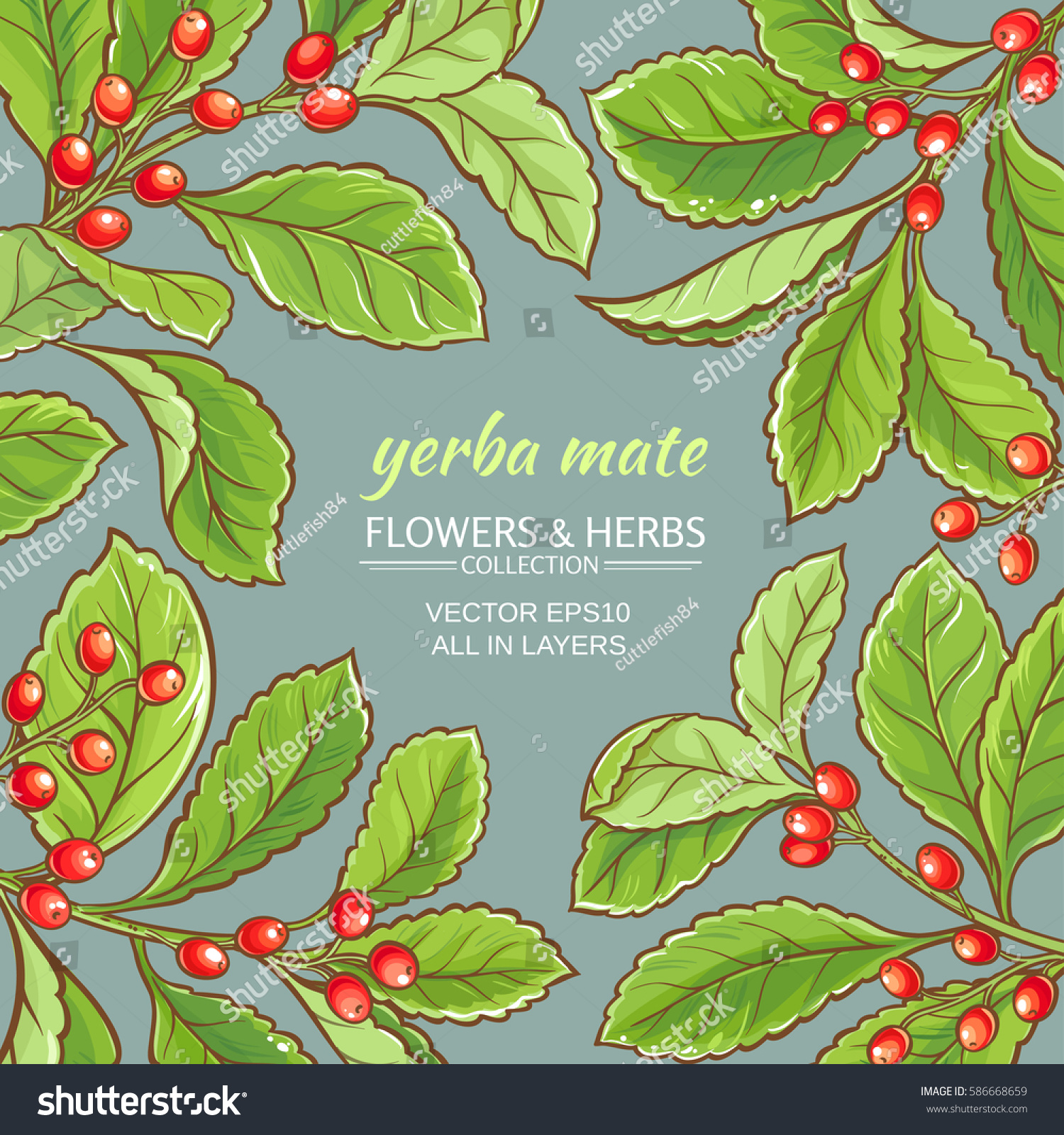 Yerba Mate Vector Frame On Color Stock Vector (Royalty Free) 586668659
