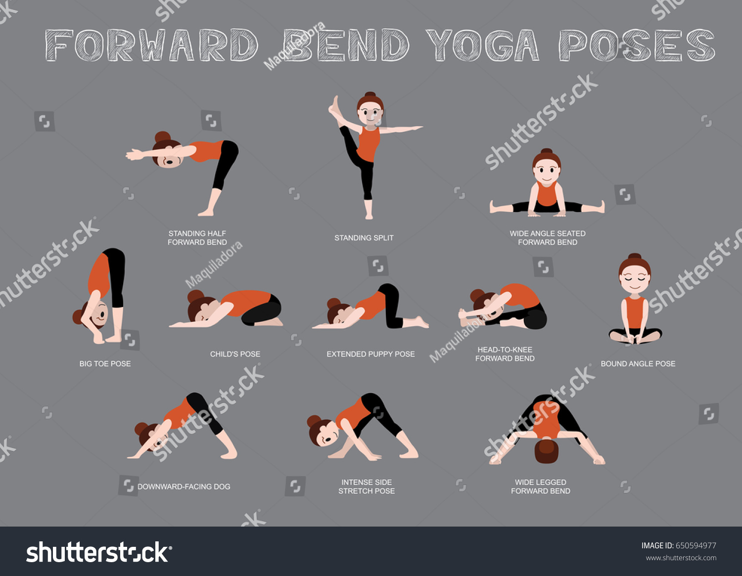 Yoga Forward Bend Poses Vector Illustration Stock Vector (Royalty Free ...