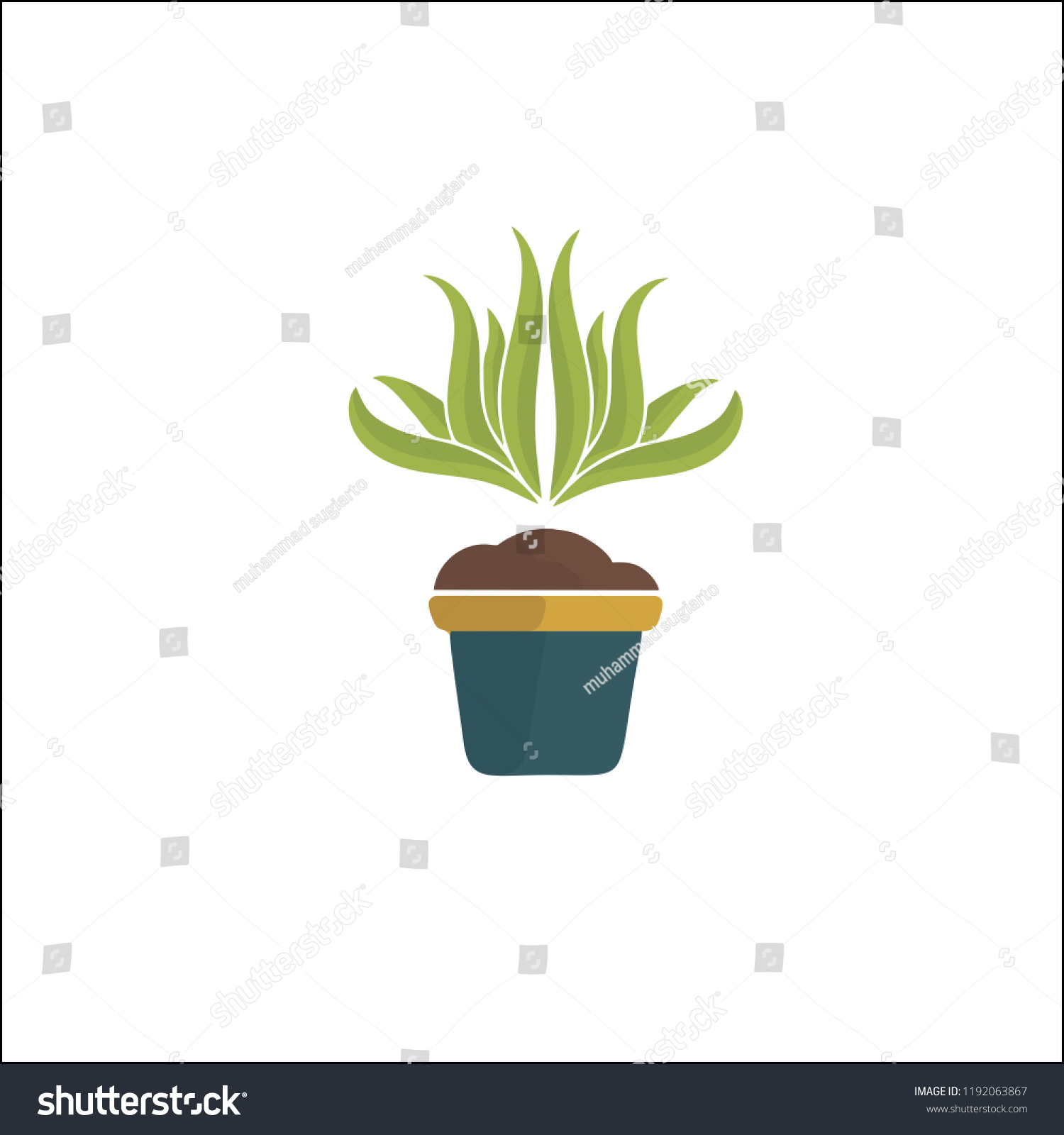 Yucca Plant Vector Stock Vector (Royalty Free) 1192063867