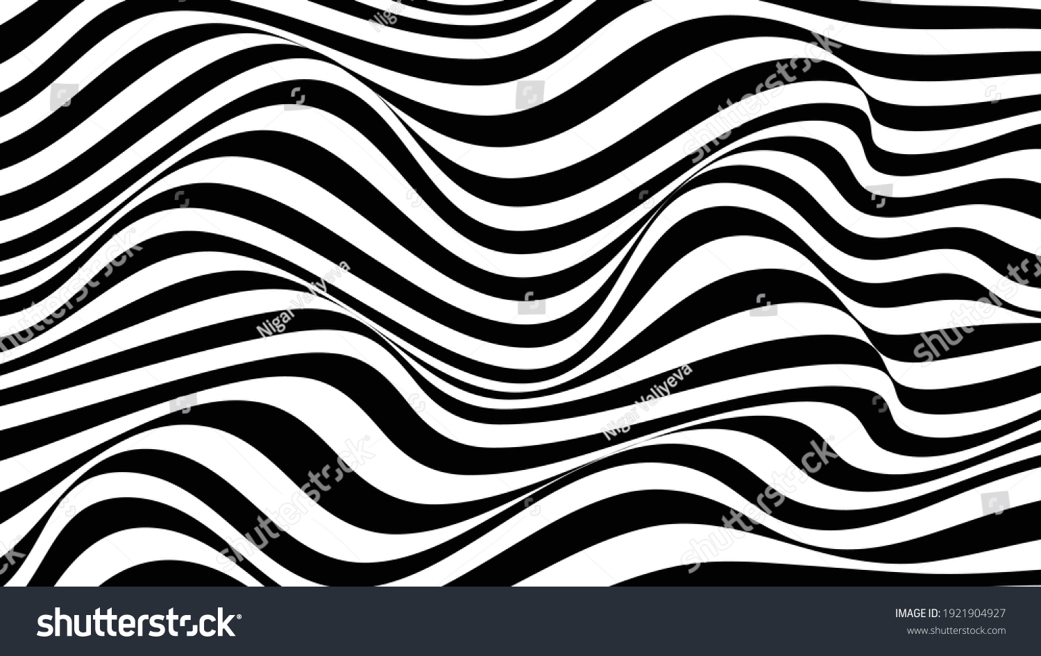 Zebr Images, Stock Photos & Vectors | Shutterstock