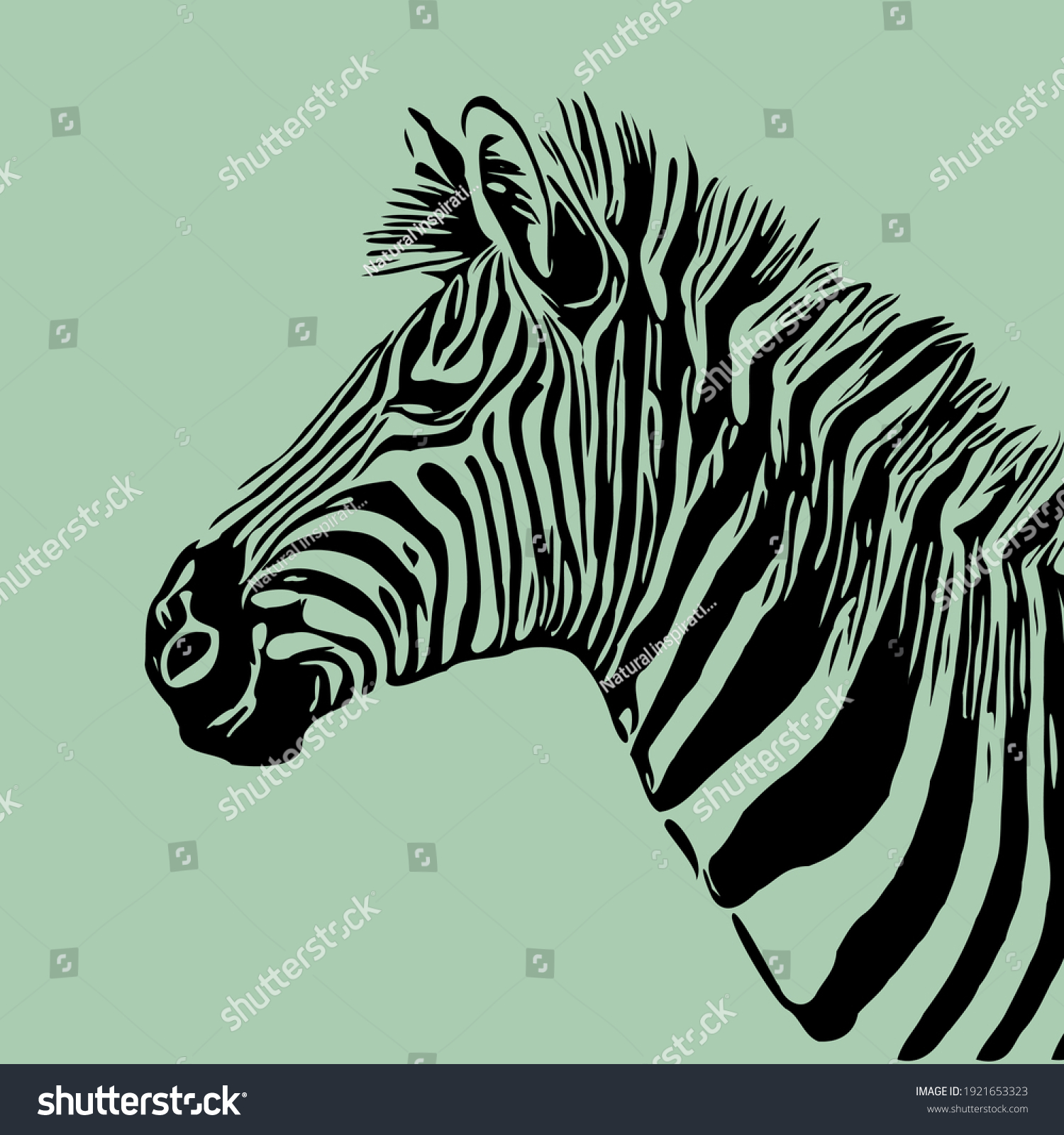 Zebra Black Green Side View Vector Stock Vector (Royalty Free) 1921653323