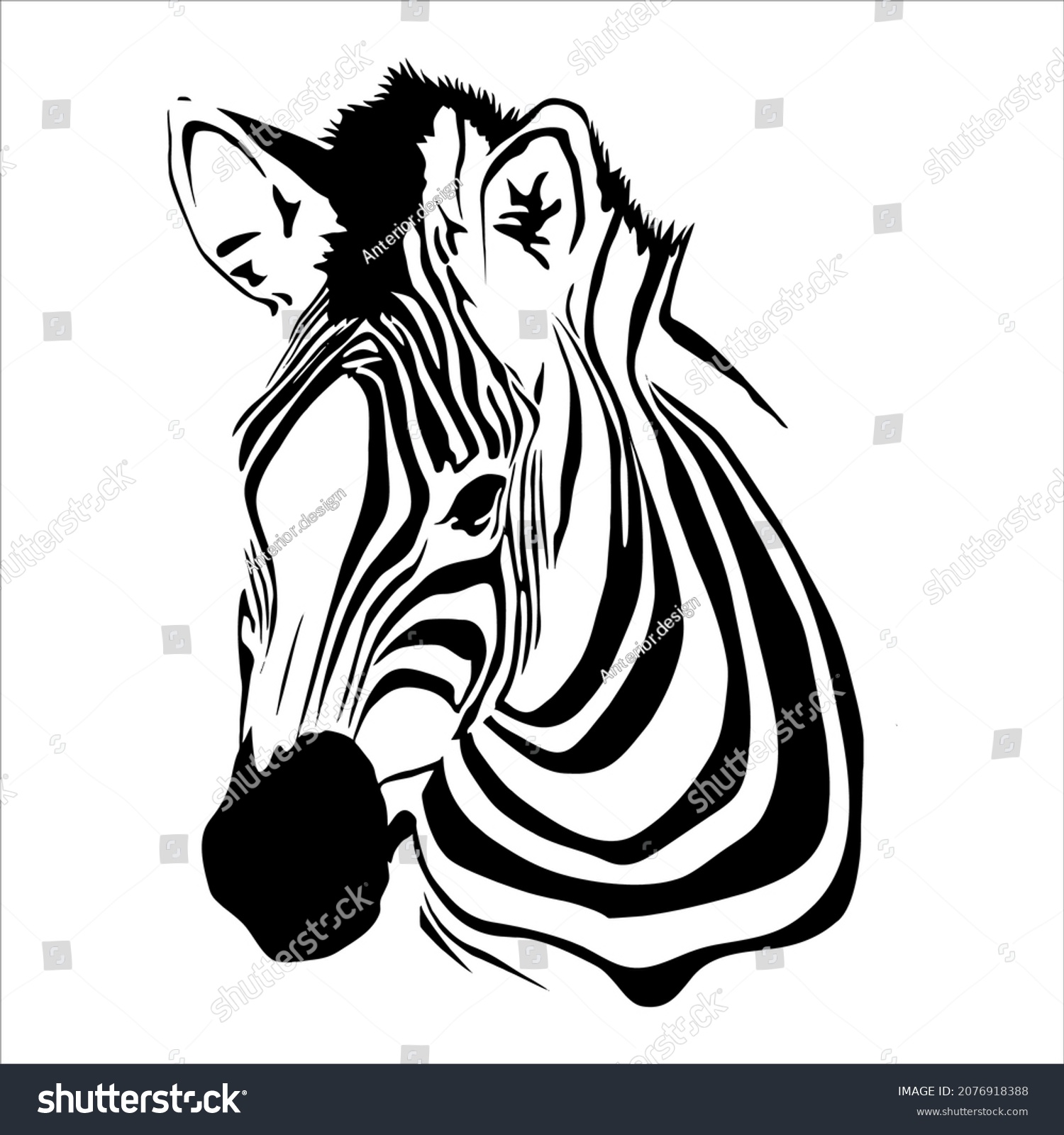 Zebra Head Symbol Vector Illustration Stock Vector (Royalty Free ...